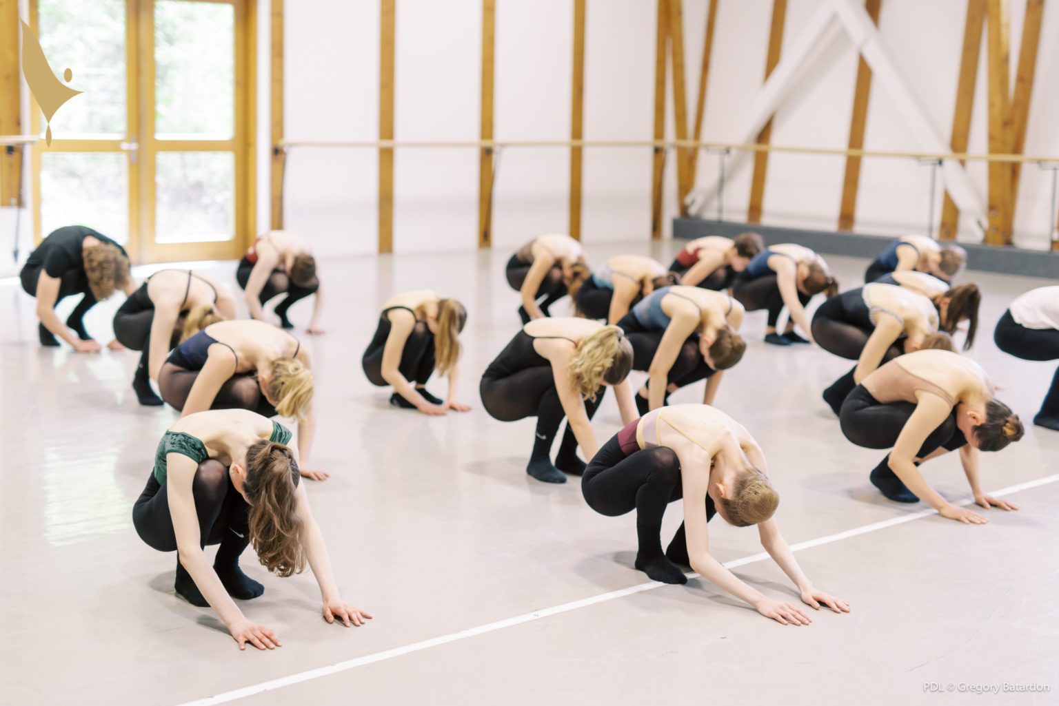 Bourse Vaudoise de Danse & Swiss Workshop 2025 - Prix de Lausanne